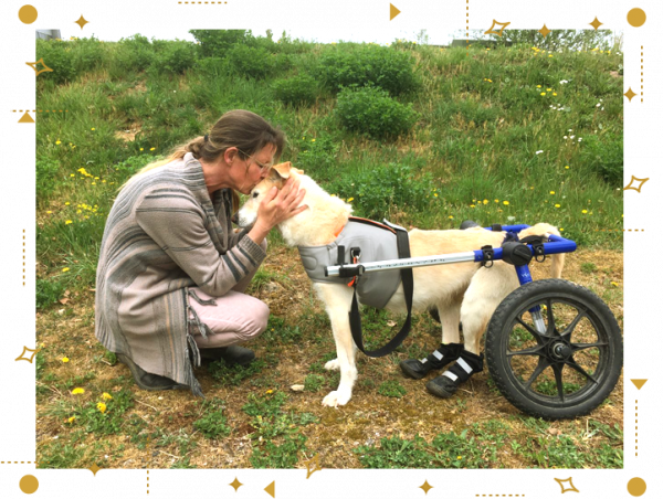 Dog Human Walk Hundeschule Hundepsychologie und Hundetraining - Dog ...