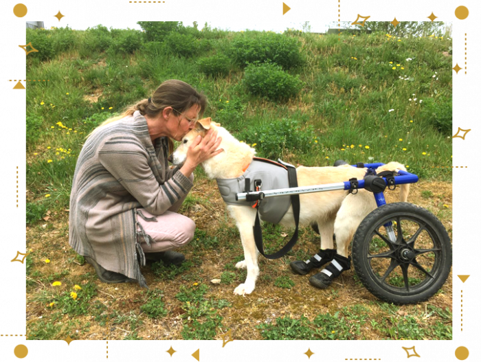 Dog Human Walk Hundeschule Hundepsychologie und Hundetraining - Dog ...