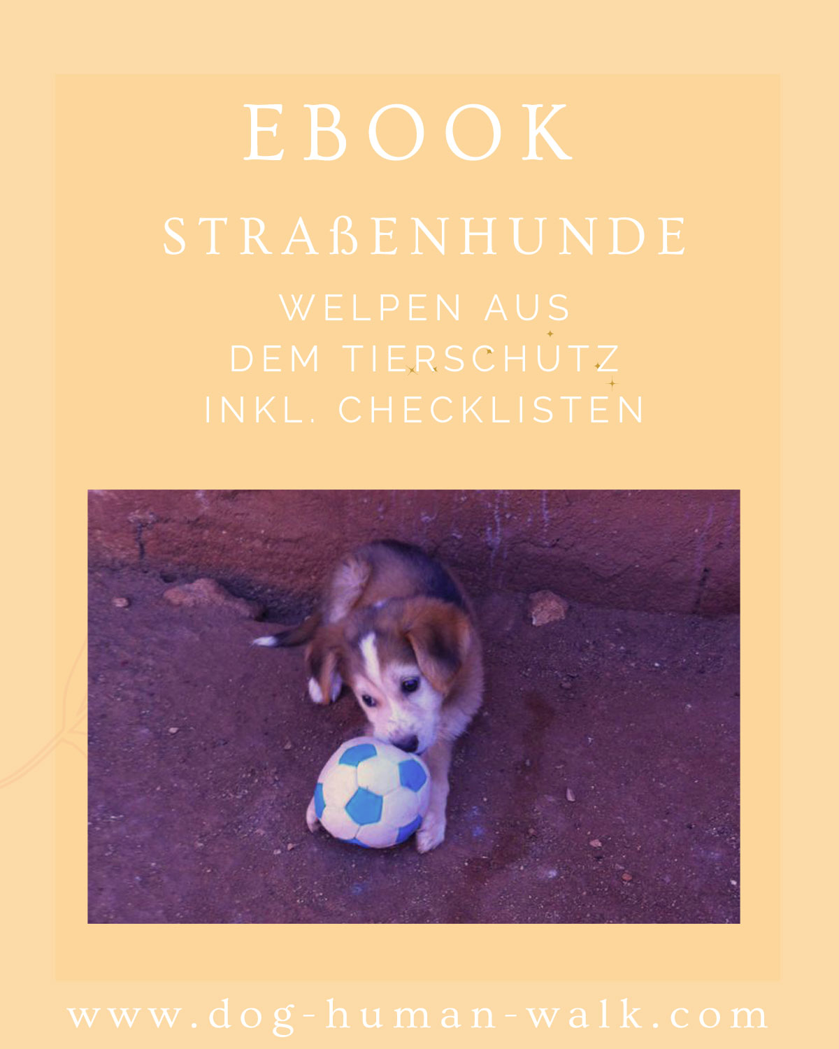 Dog Human Walk Hundeschule Hundepsychologie und Hundetraining - Dog ...